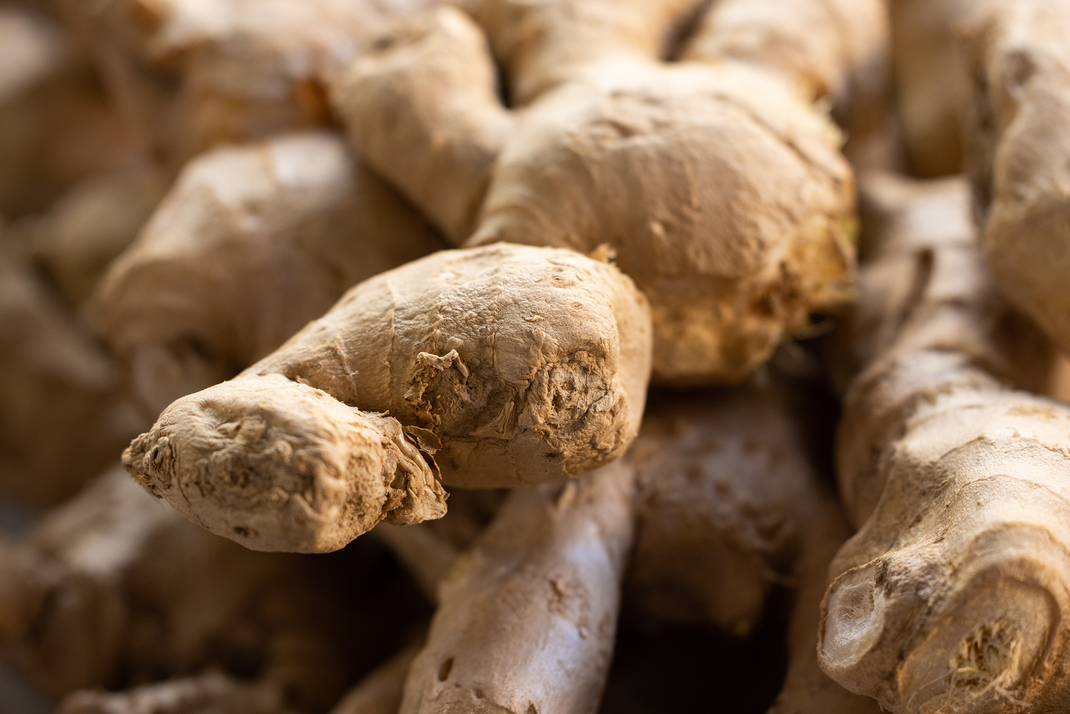 Ginger – giganaturally